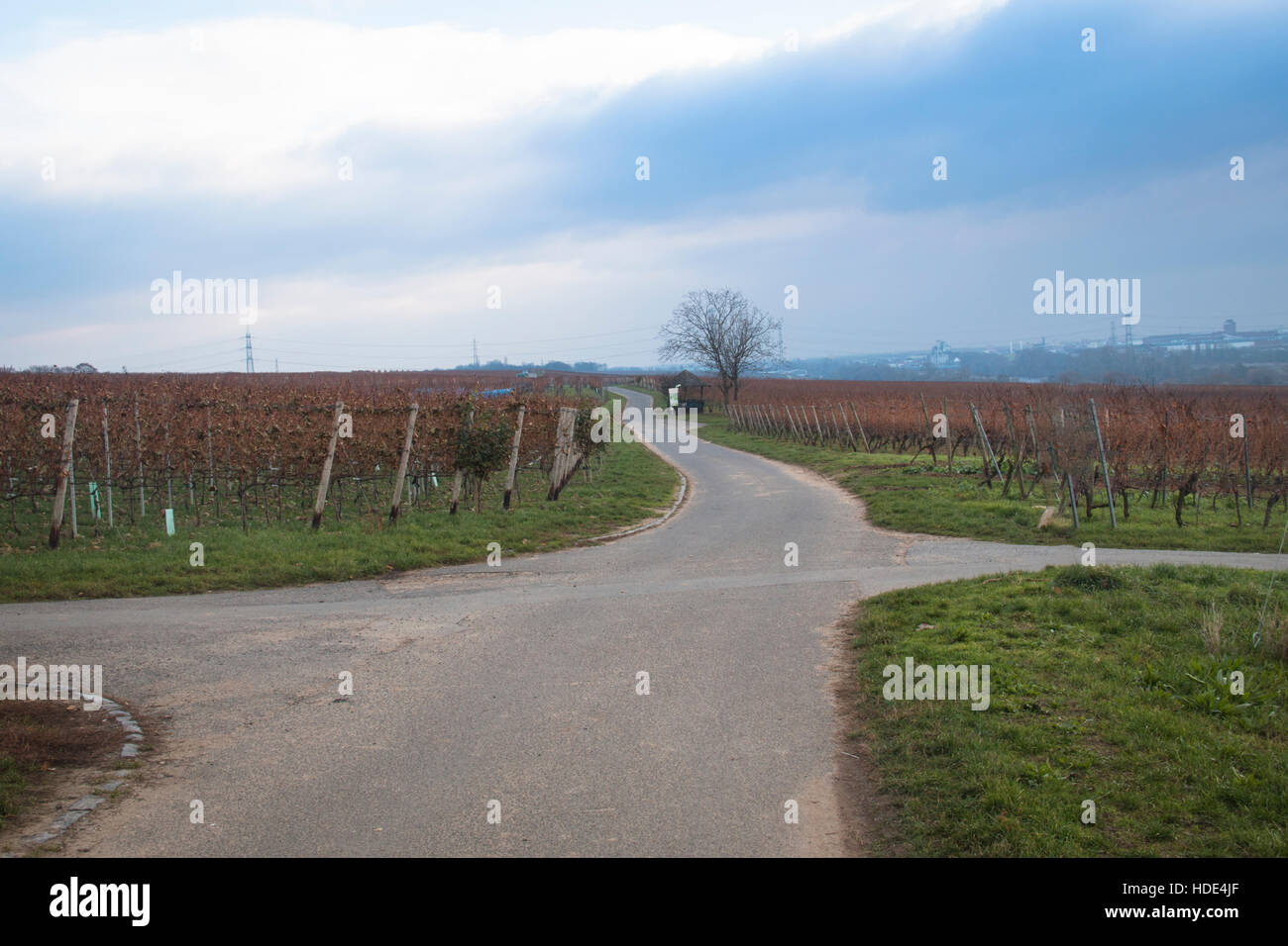 Hochheim village hi-res stock photography and images - Alamy