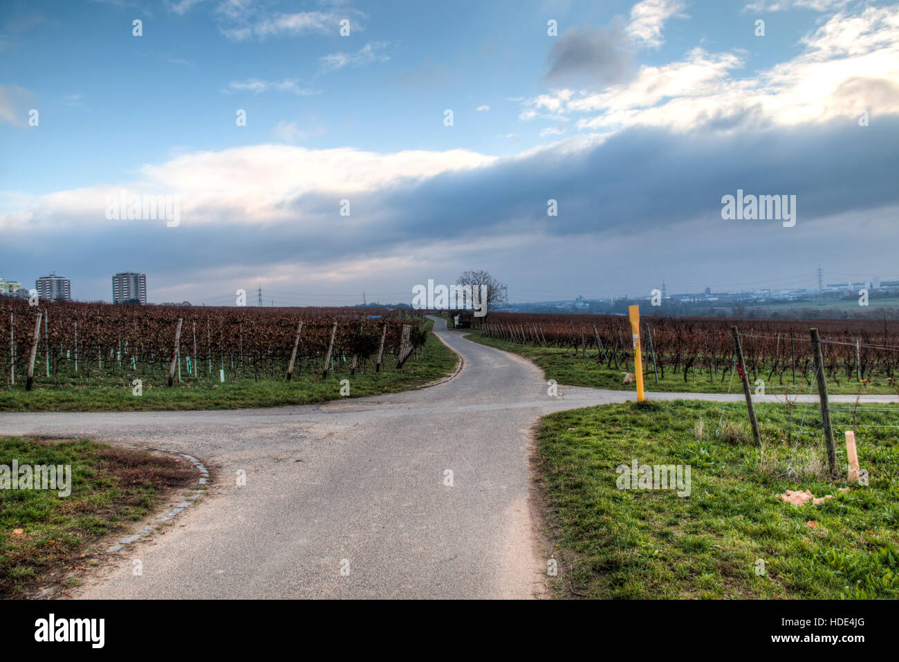 Hochheim hi-res stock photography and images - Alamy