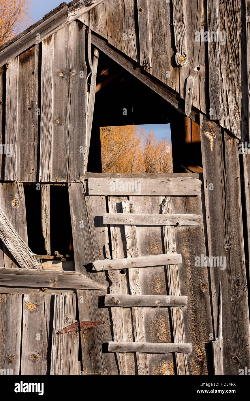 Rustic old ladder on the side of a farmers barn Stock Photo - Alamy