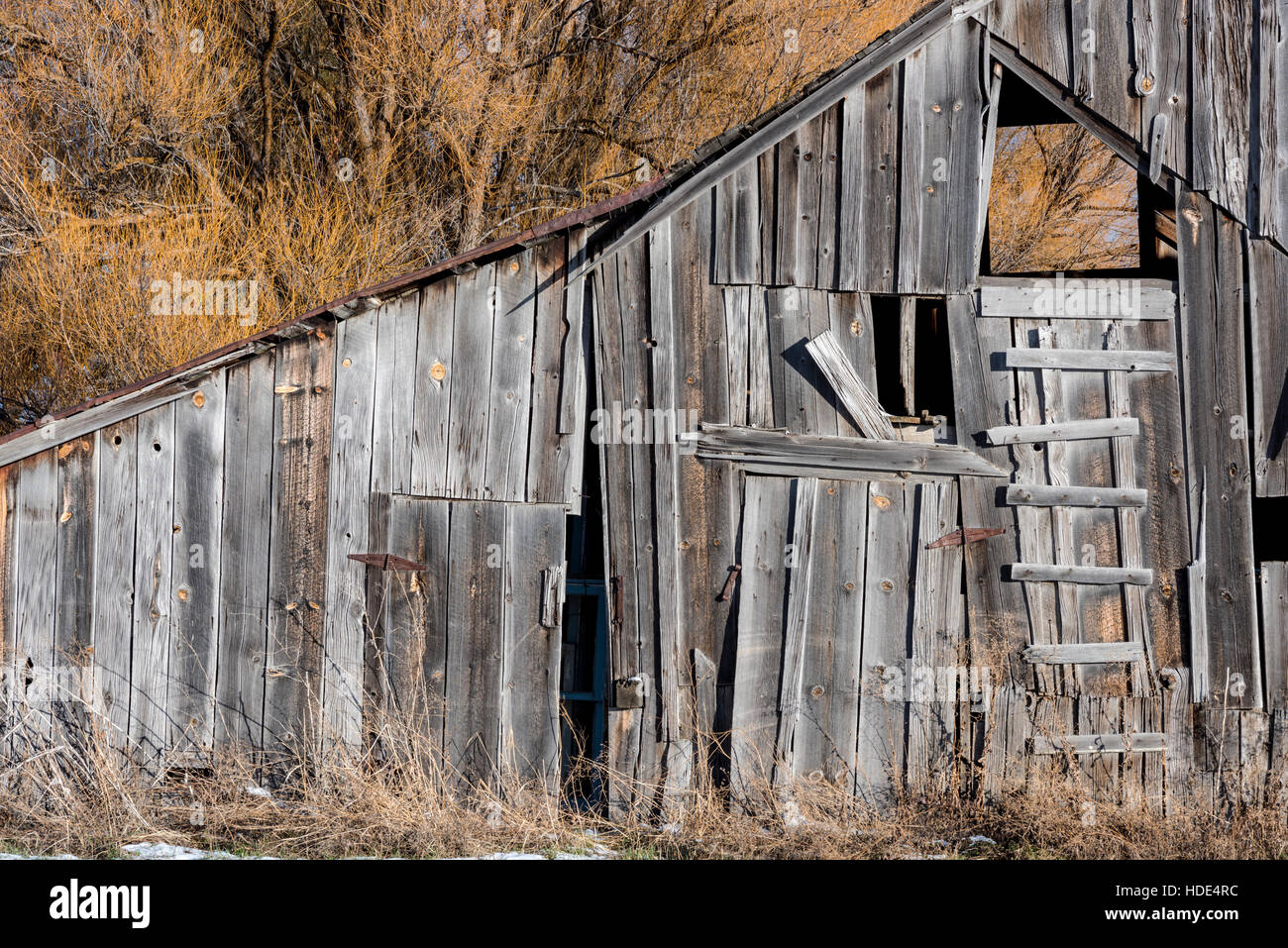 Wooden barn ladder hi-res stock photography and images - Alamy