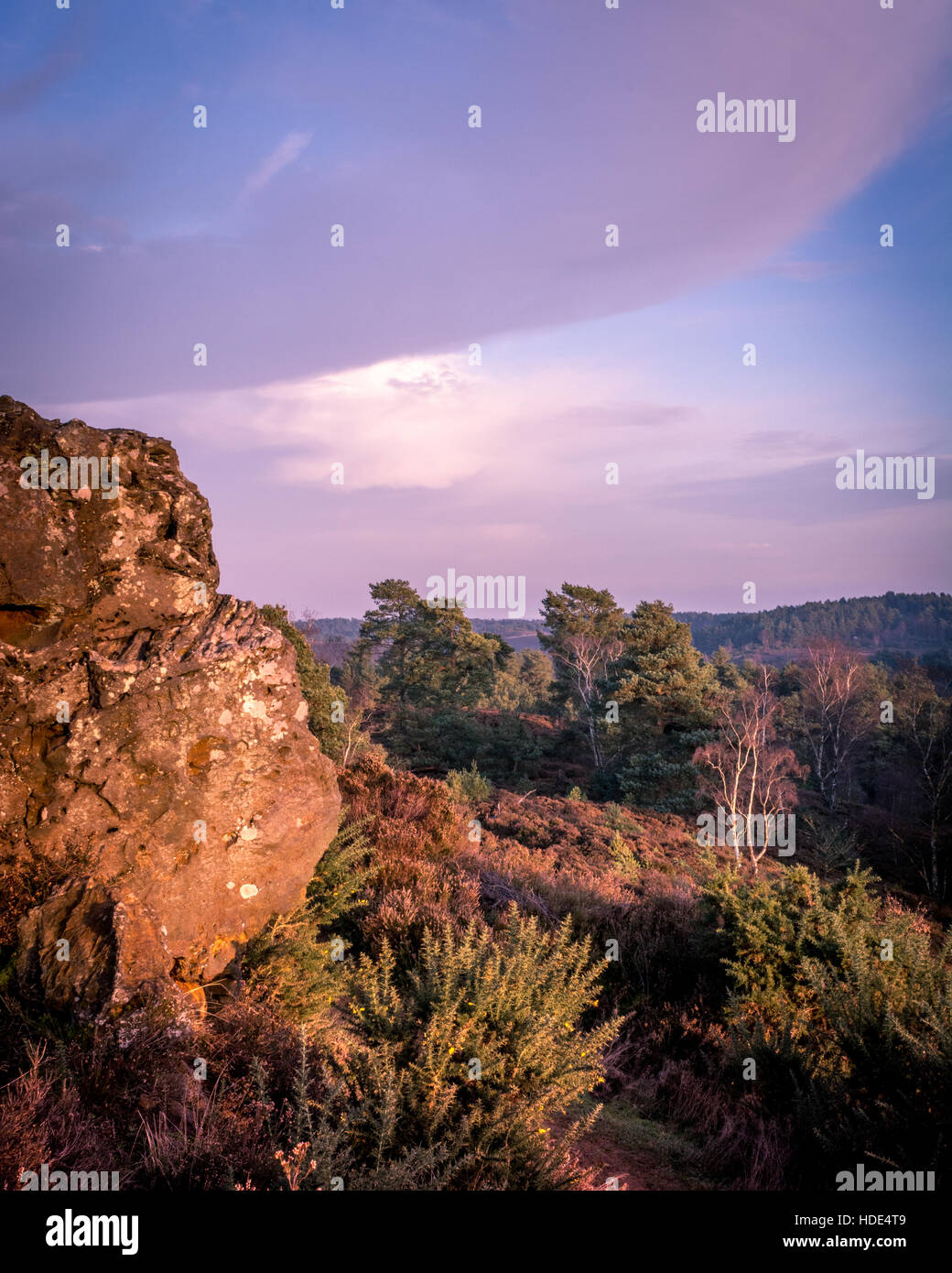 Golden scenery hi-res stock photography and images - Alamy