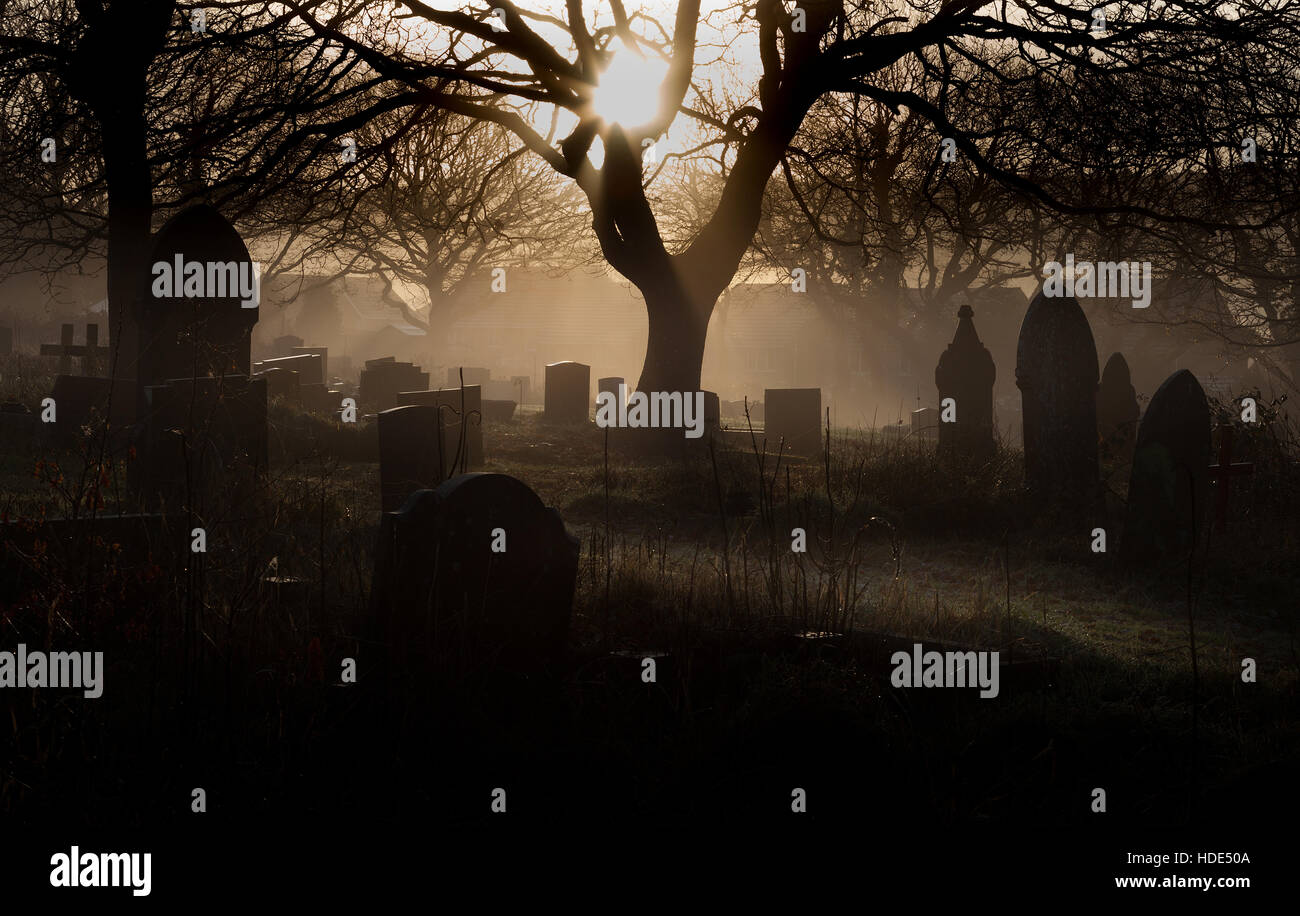 Sinister graveyard hi-res stock photography and images - Alamy