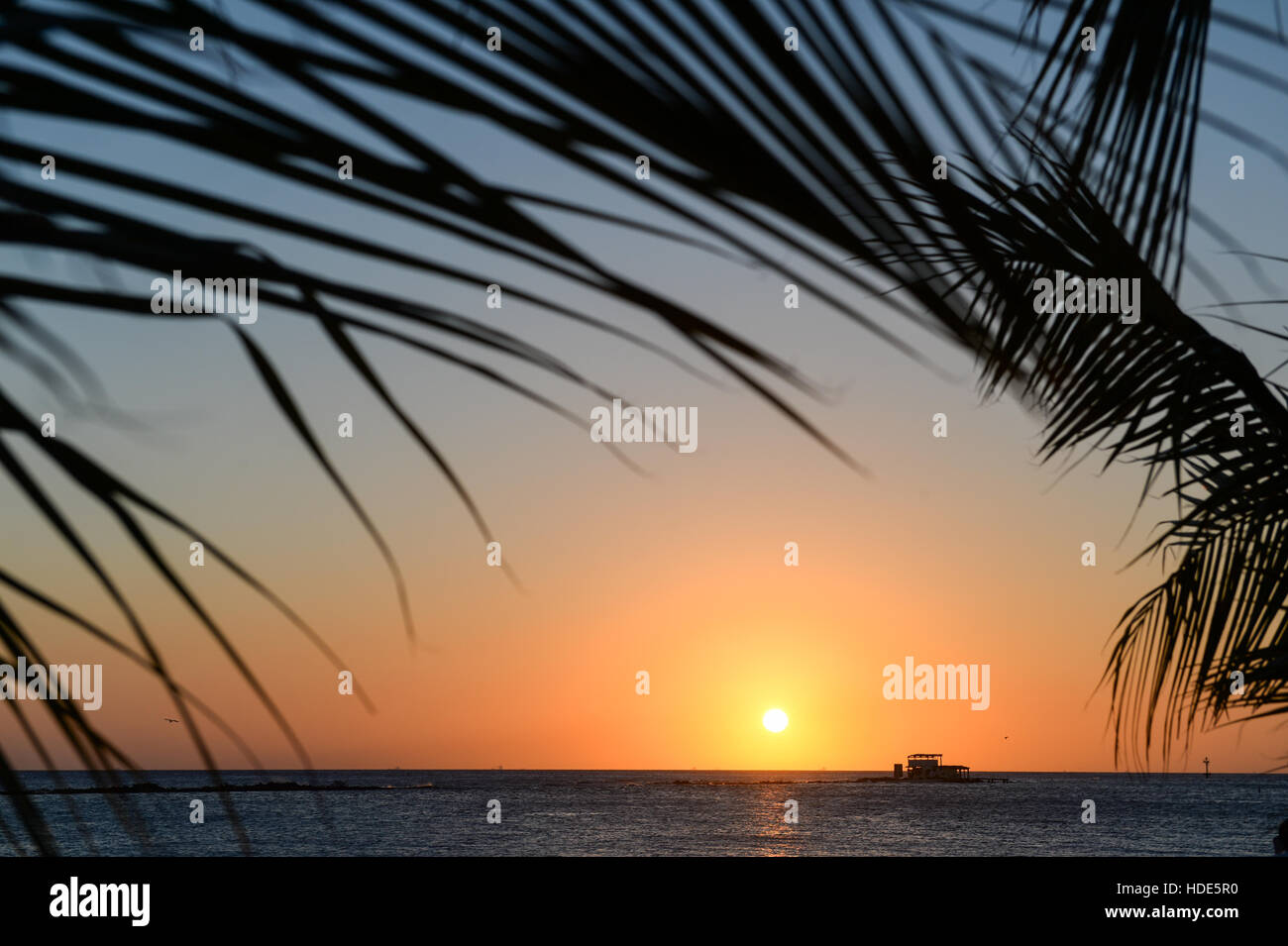 Sunset from a beach in Aruba Stock Photo - Alamy