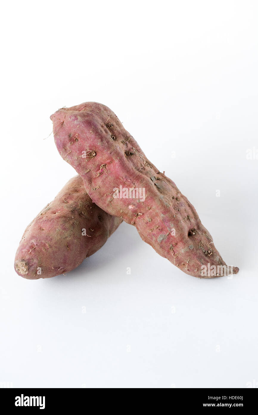 Ipomoea batatas. Two purple sweet potatoes on a white background Stock ...