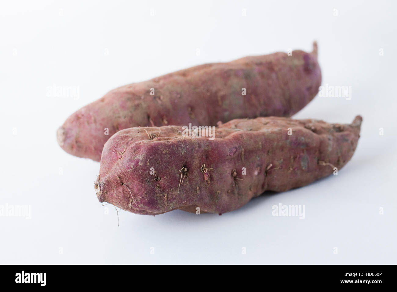 Ipomoea batatas. Two purple sweet potatoes on a white background Stock ...