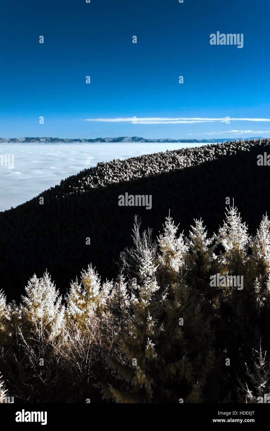 Aerial infra red hi-res stock photography and images - Alamy