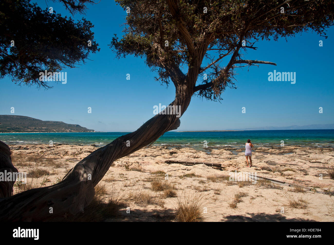 europe, greece, peloponnese, laconia, elafonisos, panagia, beach Stock ...