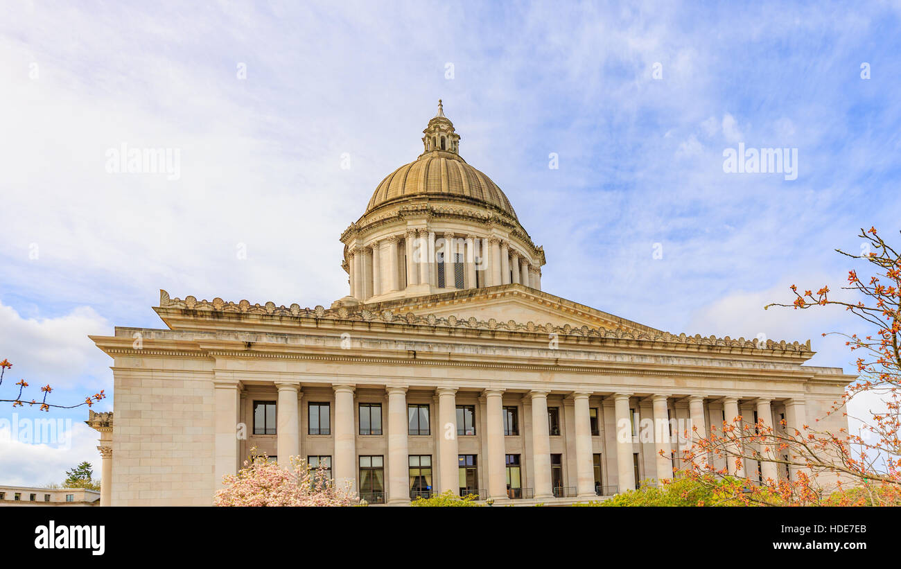 Capitol Building Cherry Blossom Stock Photos & Capitol Building Cherry ...
