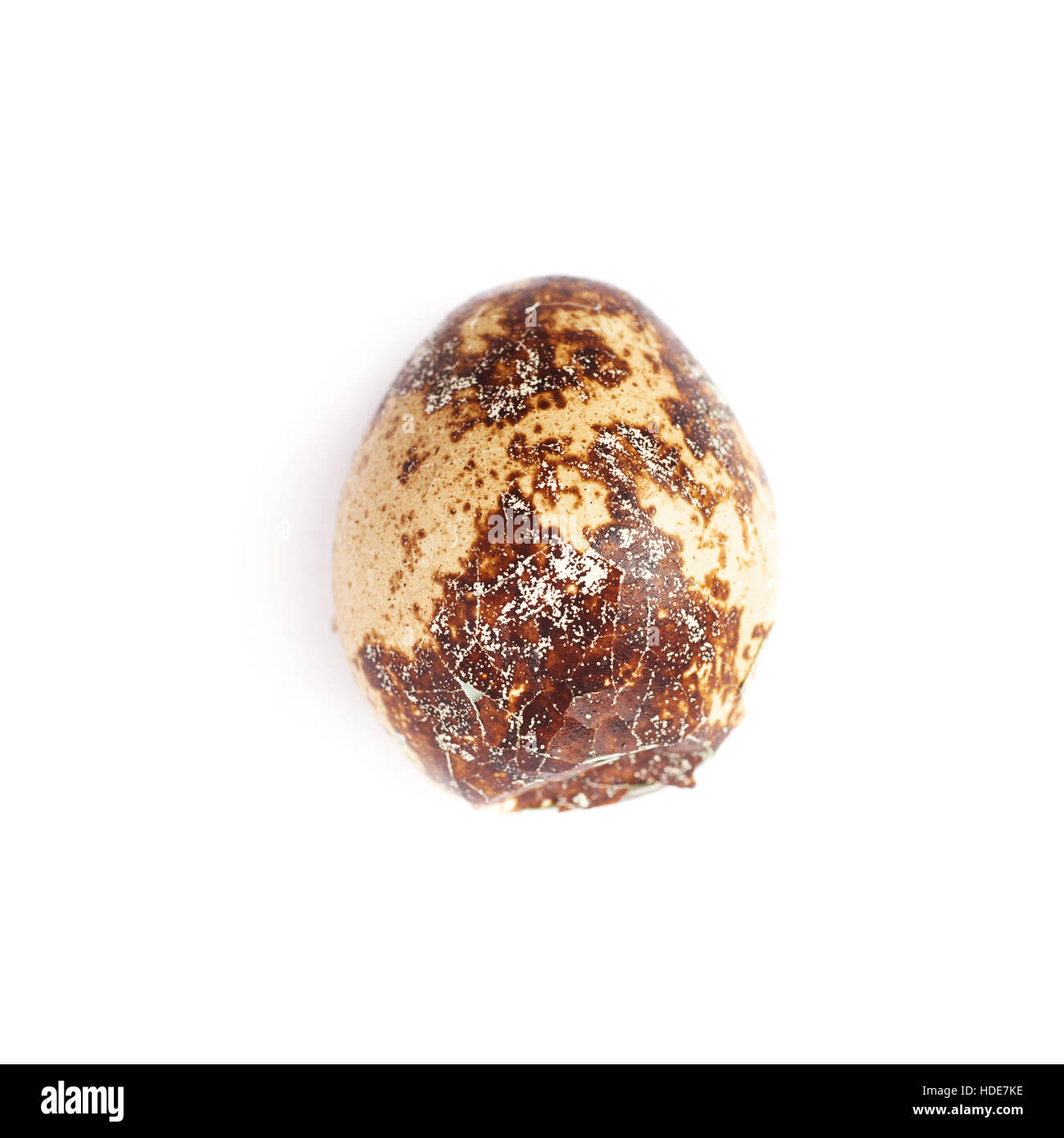 Single quail egg isolated over white background Stock Photo - Alamy