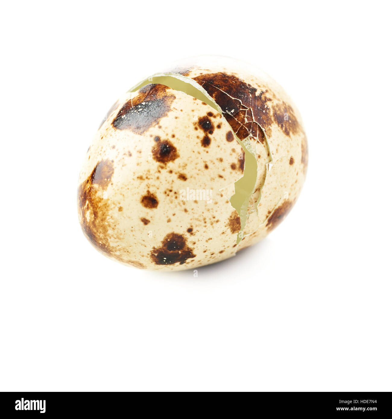 Quail egg shell cracked and isolated over white background Stock Photo ...
