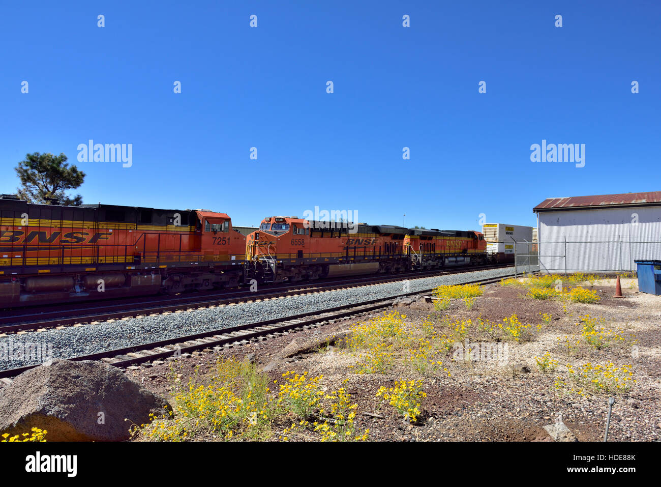 Multiple BNSF diesel locomotives in the middle of long train of shipping containers at Flagstaff ...
