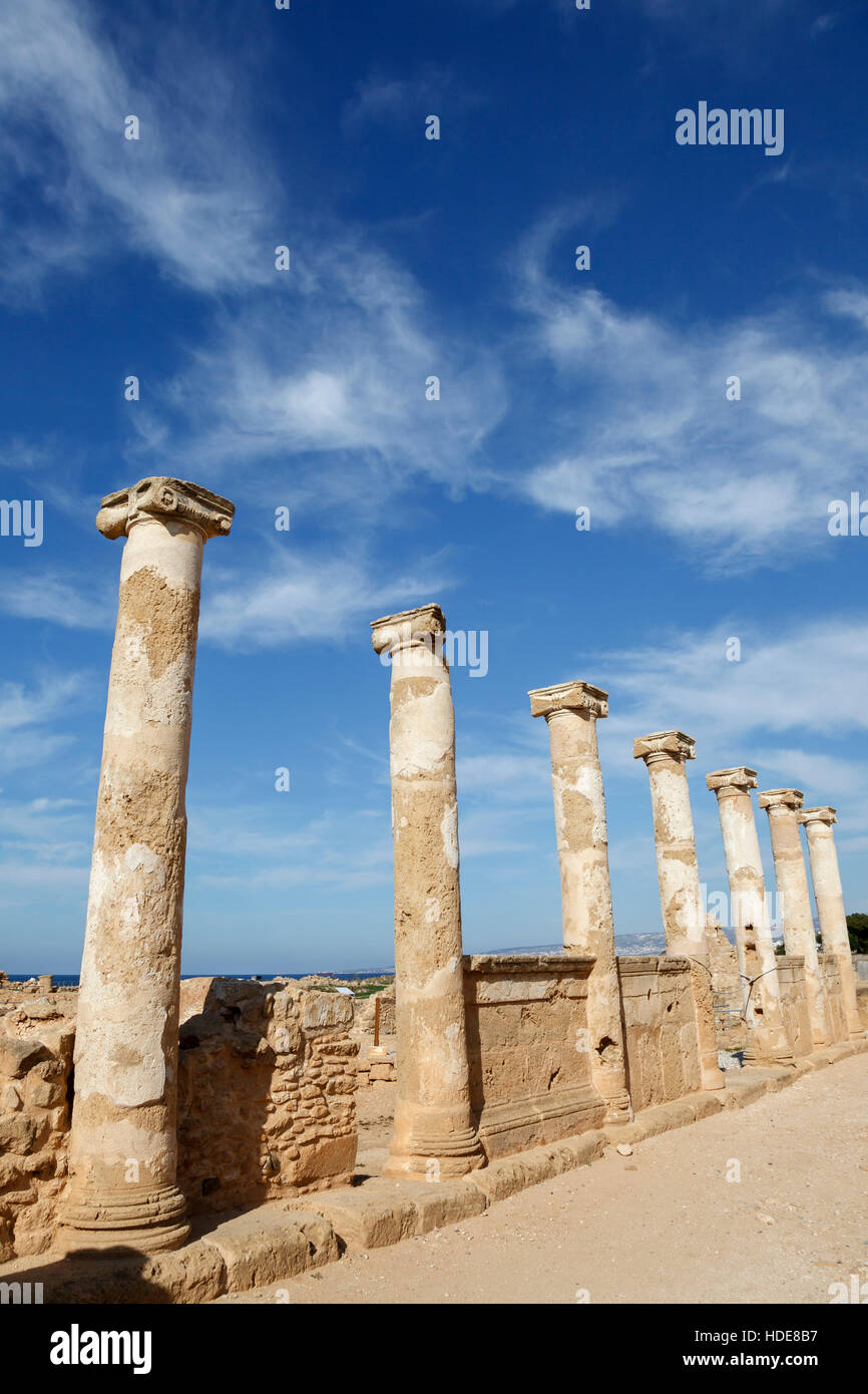 Roman columns around the forum, House of Theseus, Paphos Archaeological ...