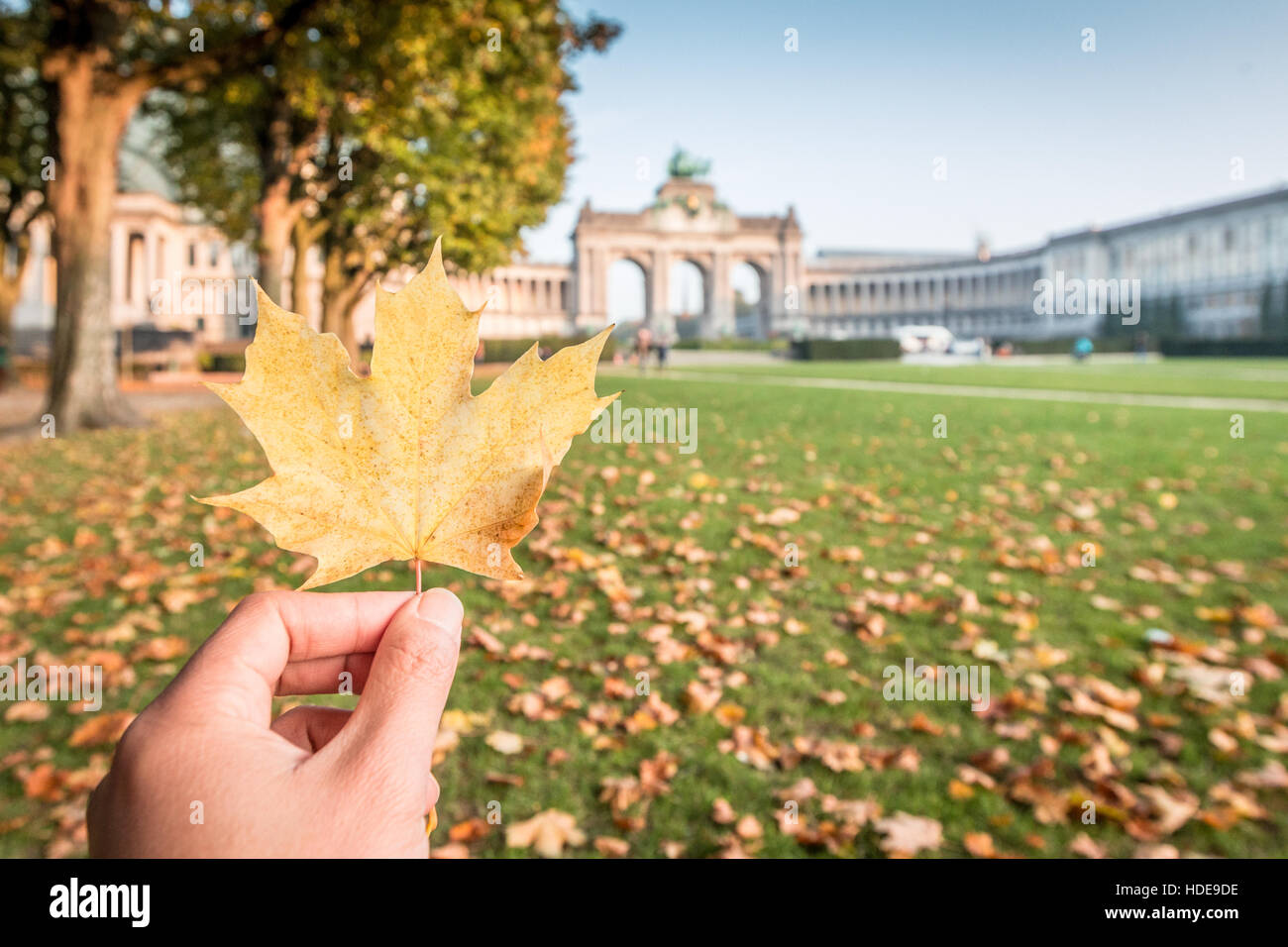 Colours in brussels hi-res stock photography and images - Alamy