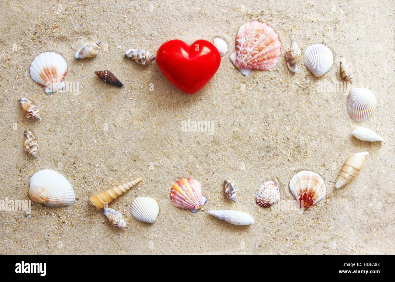 Frame of heart shells hi-res stock photography and images - Alamy