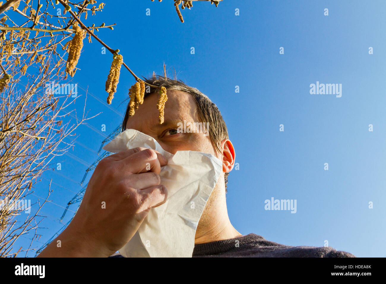 Man suffering from allergy Stock Photo - Alamy