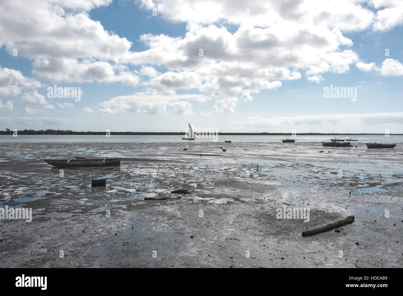 Indian ocean low tide hi-res stock photography and images - Alamy