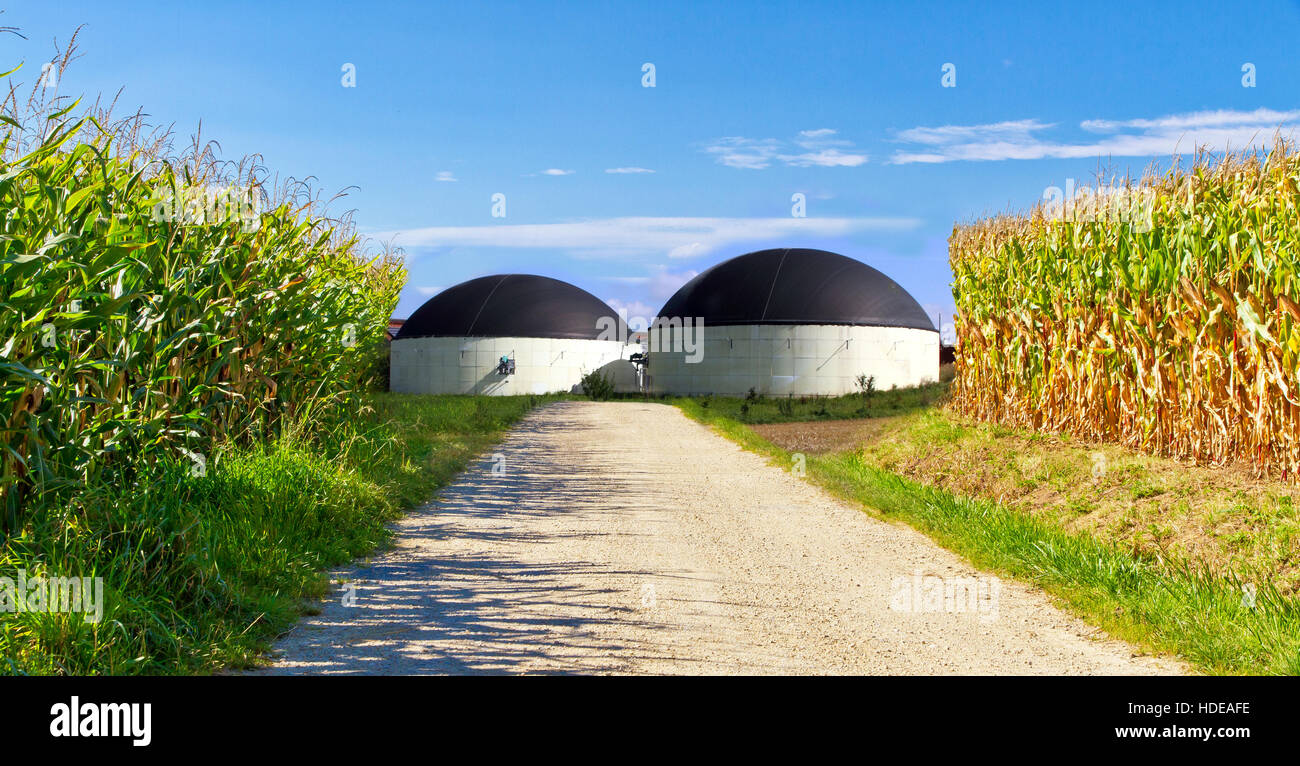 Biogas plant in a corn field Stock Photo - Alamy