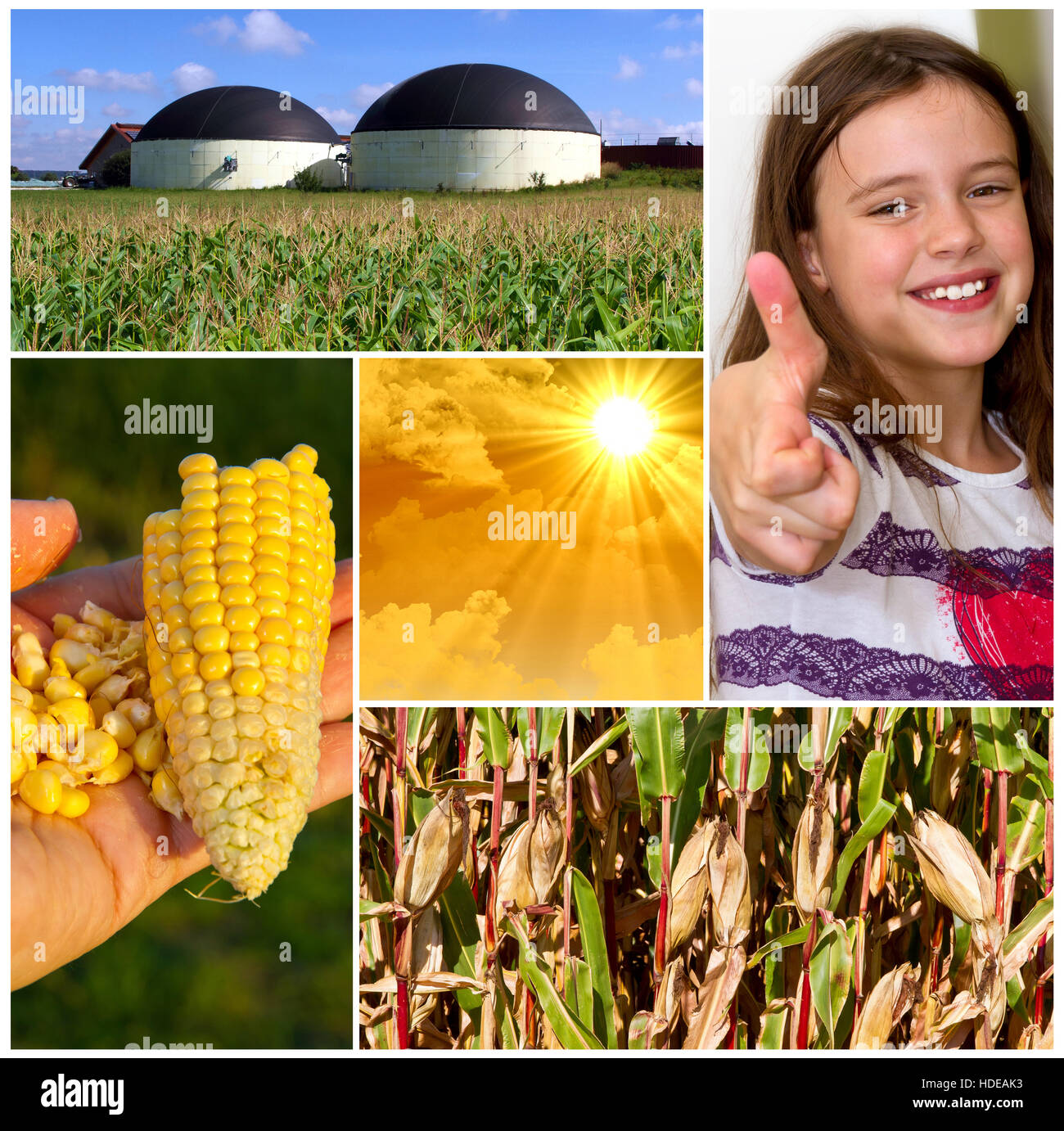 Biogas production hi-res stock photography and images - Alamy