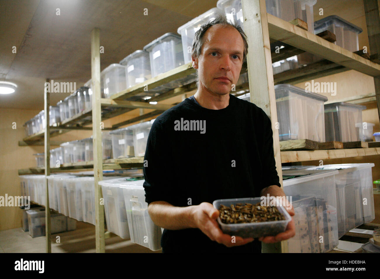 Bell cricket hi-res stock photography and images - Alamy