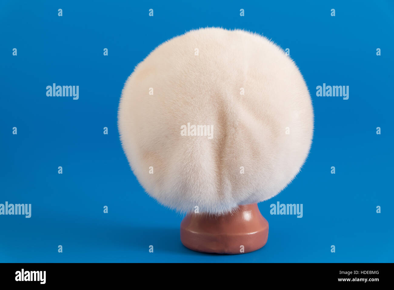 pearly beret from natural mink on mannequin. Back view Stock Photo - Alamy