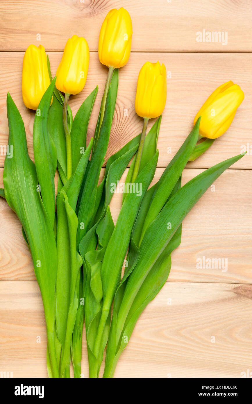 closeup picture of yellow tulips top view Stock Photo - Alamy