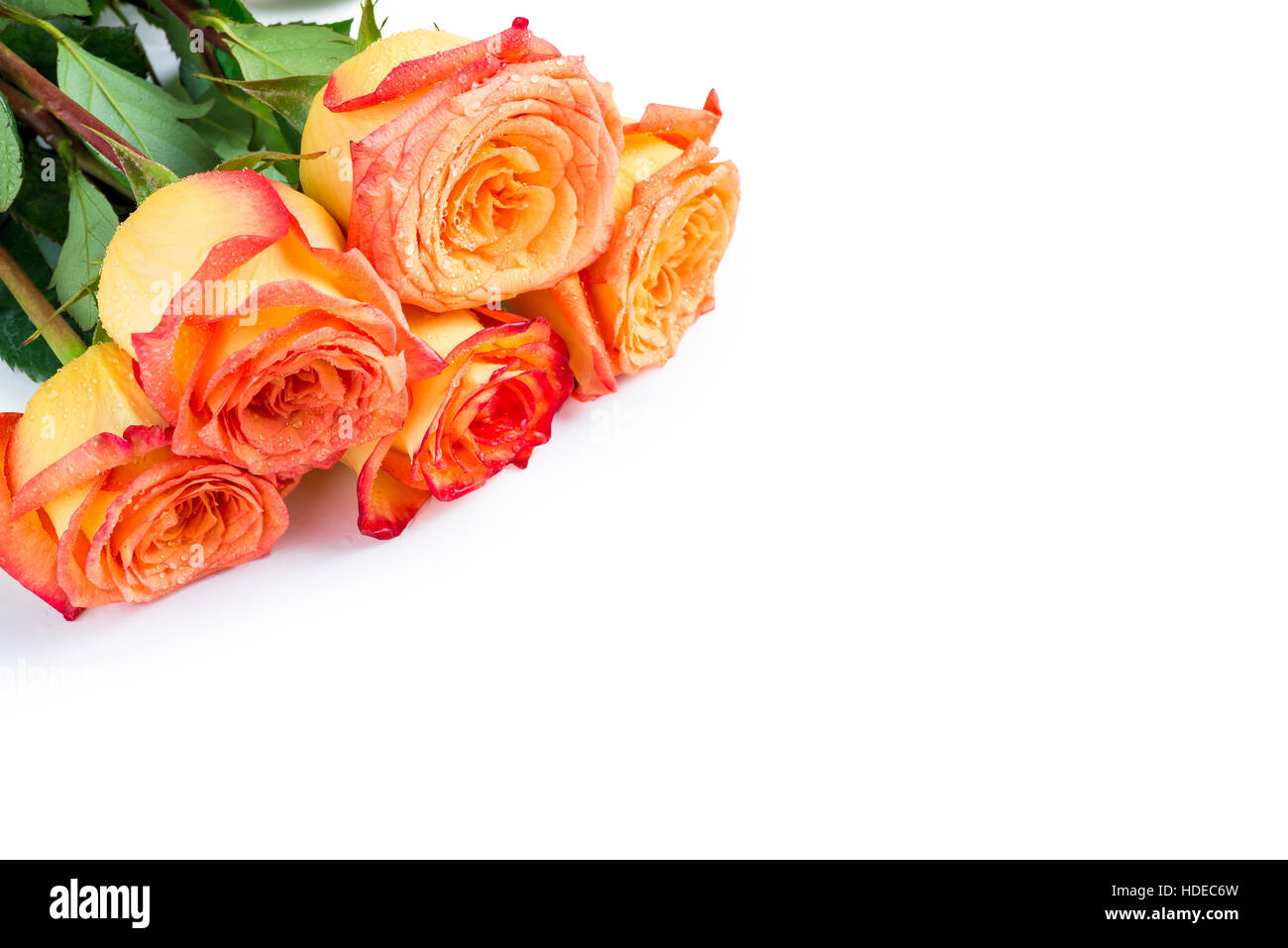 bouquet of five roses and space for inscription Stock Photo - Alamy