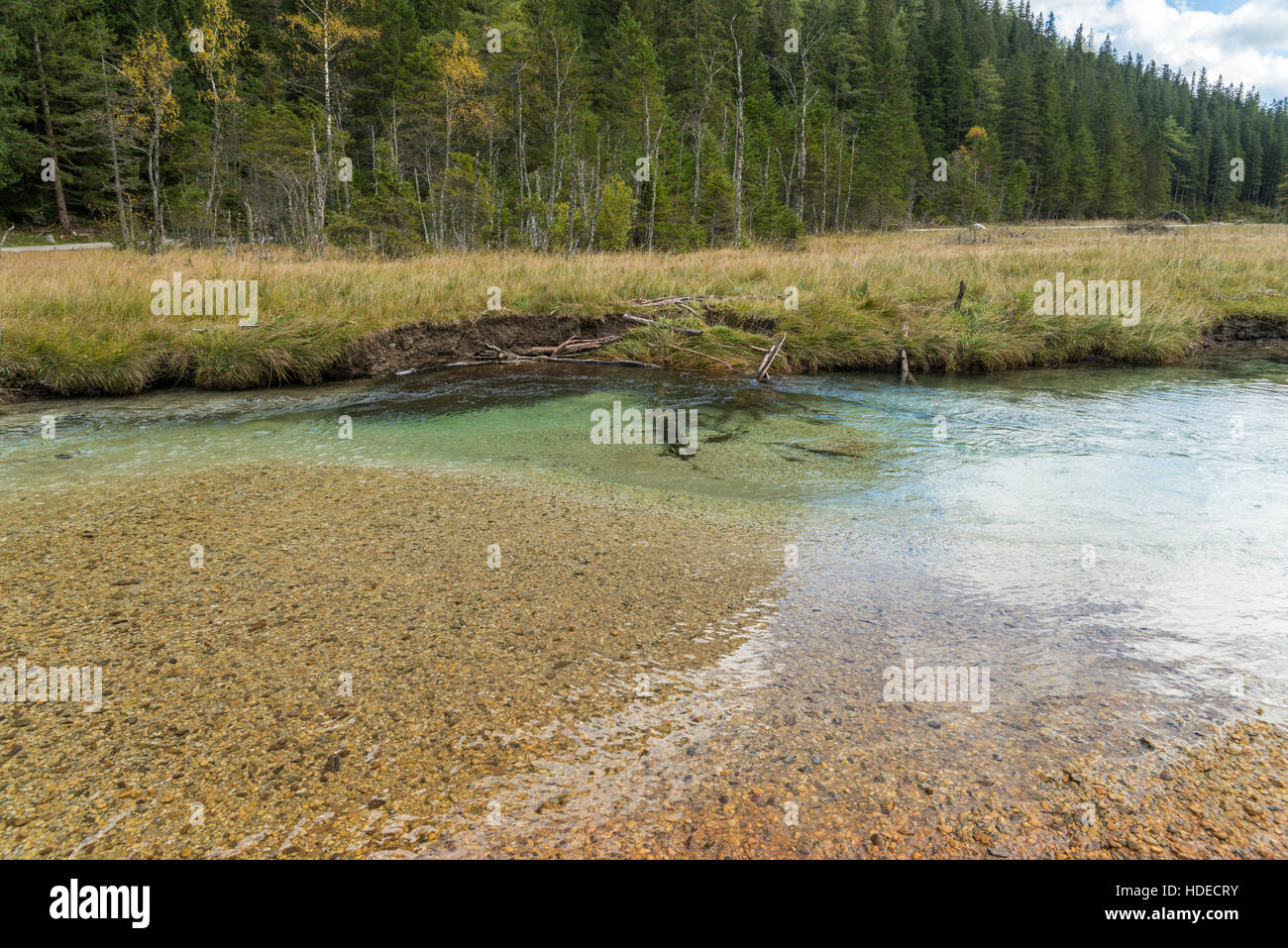 Clear water in a mountain creek Stock Photo - Alamy