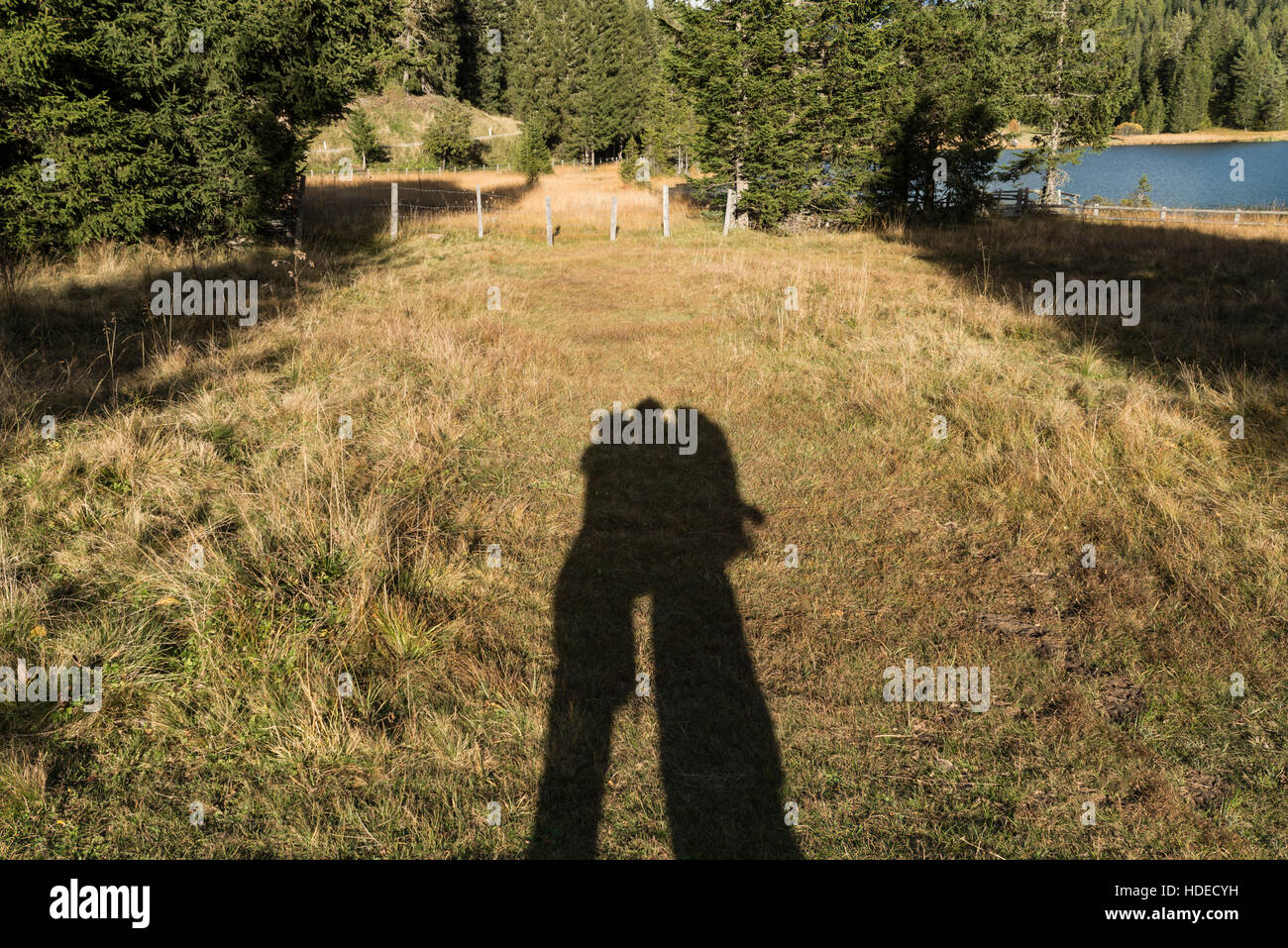 Hug shadow hi-res stock photography and images - Alamy
