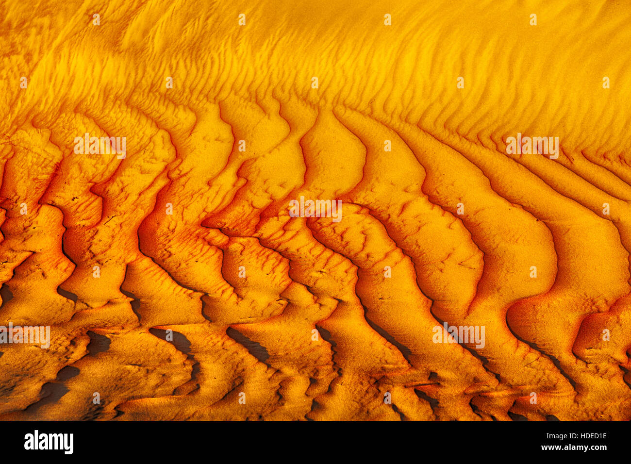 abstract texture line wave in oman the old desert and the empty quarter ...