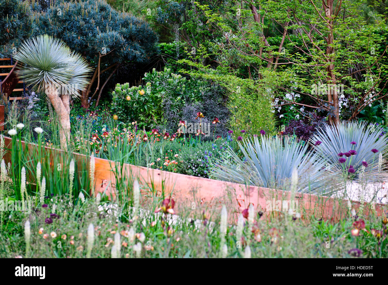 Beauty of mathematics garden hi-res stock photography and images - Alamy