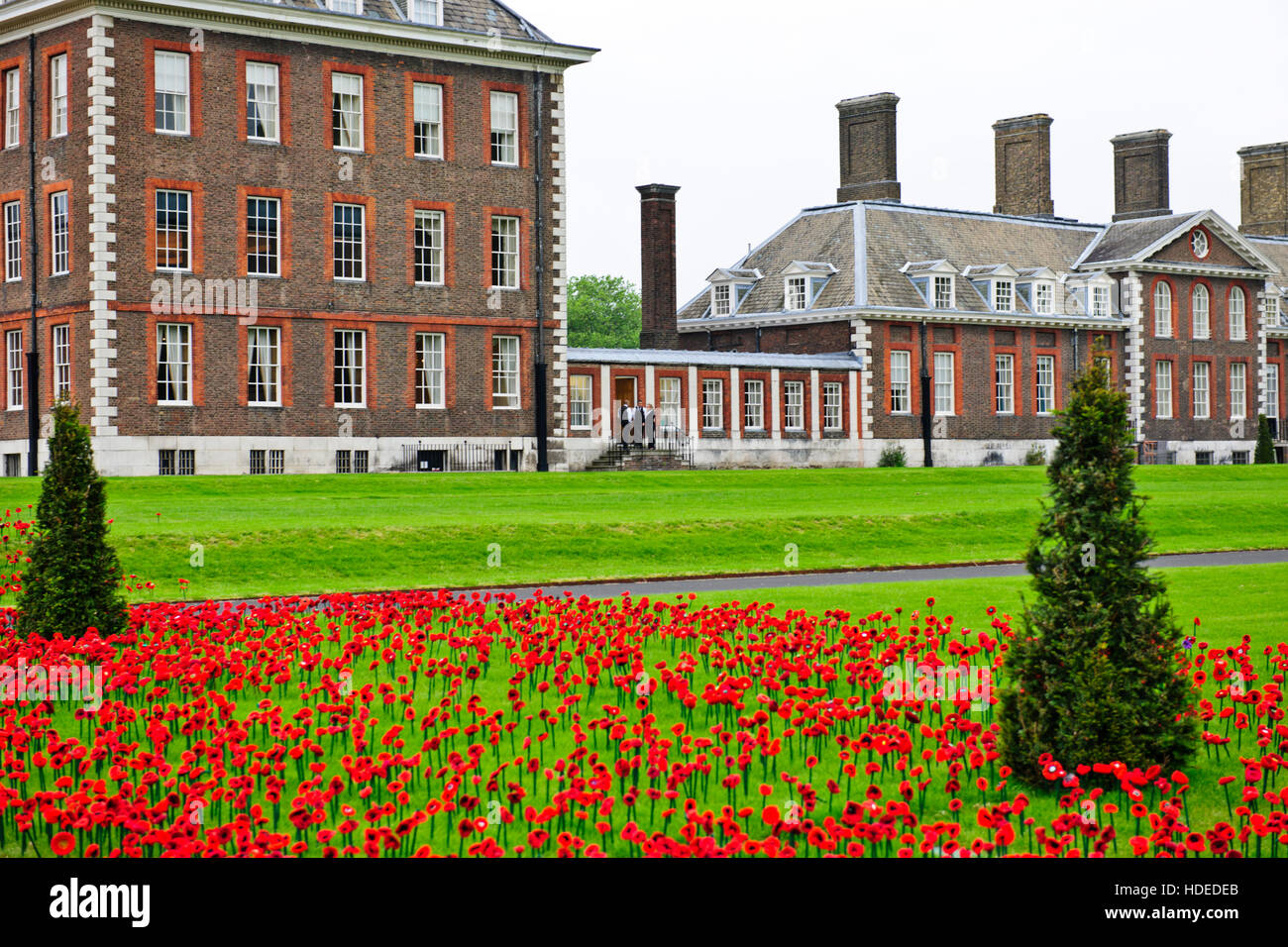 Chelsea Flower Show 2016,Royal Hospital Chelsea Breathtaking display of ...