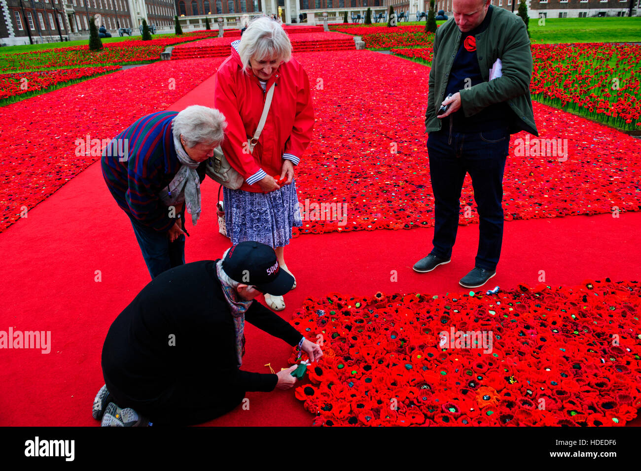 Chelsea Flower Show 2016,Royal Hospital Chelsea Breathtaking display of ...