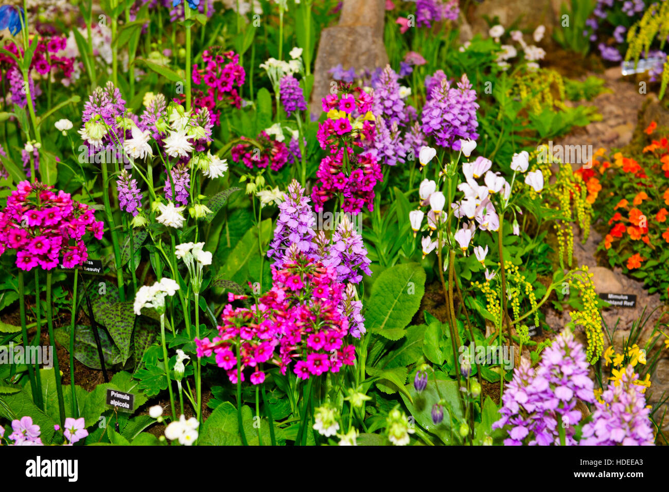 Chelsea Flower Show 2016,Kevock Gardens Stand,Flower,Sculpture,Garden ...