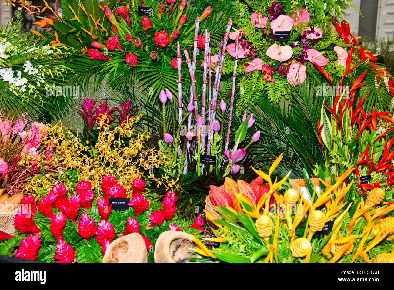 Chelsea Flower Show 2016,Grenada Stand,Flower,Sculpture,Garden Design ...