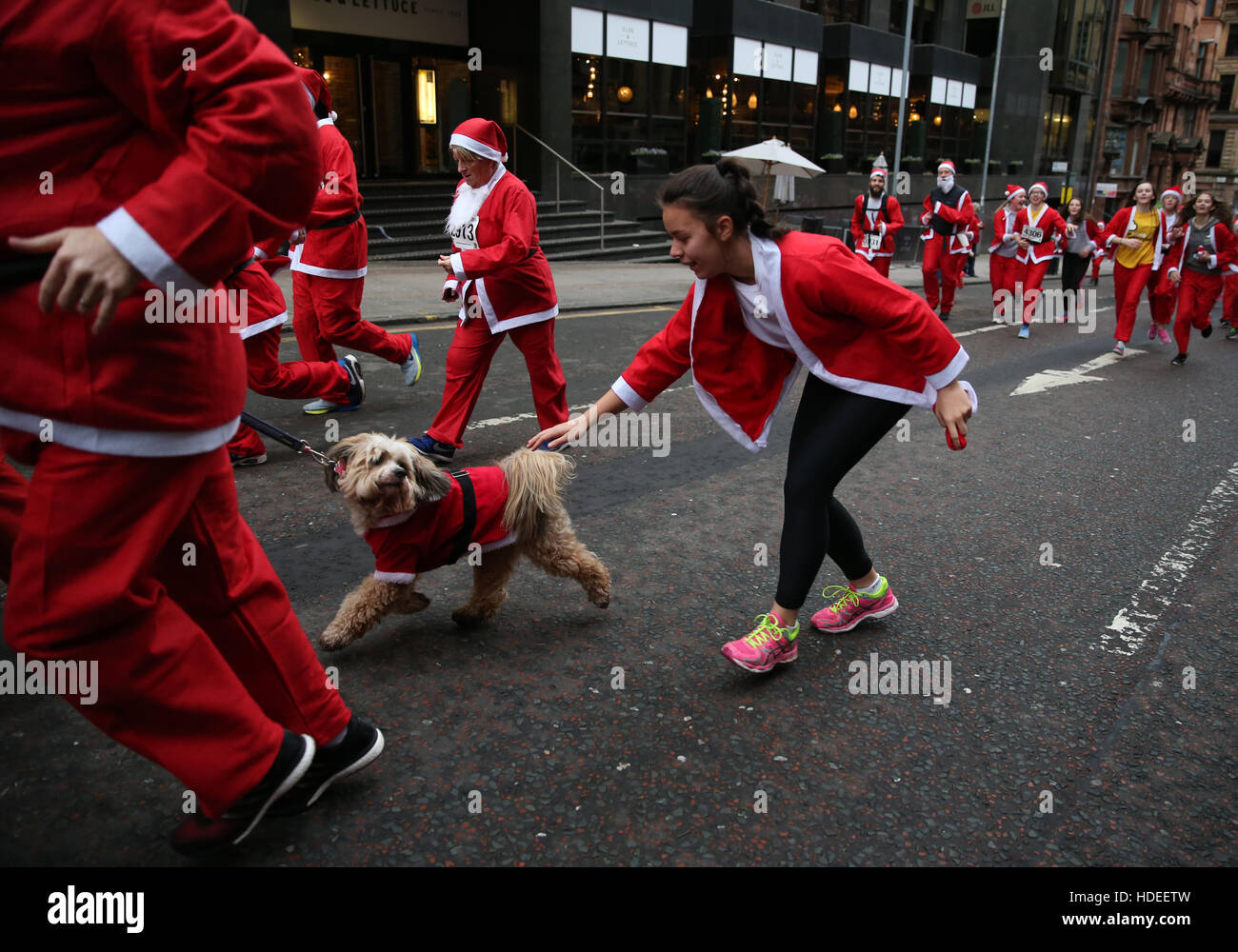 A dog joins thousands of runners in Santa costumes taking part in the ...