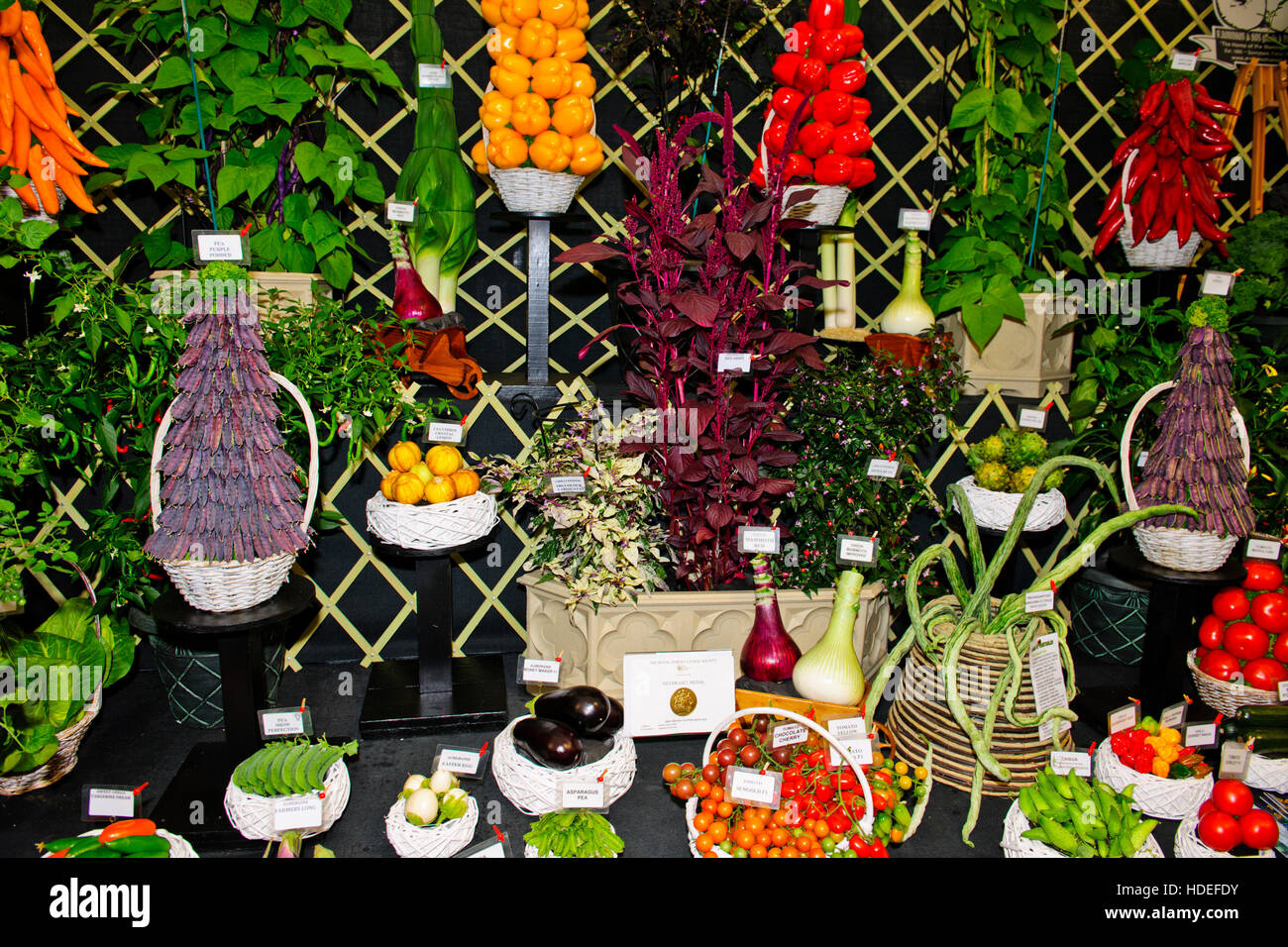 Chelsea Flower Show 2016; Robinson Seeds and Plants,Flower,Sculpture ...