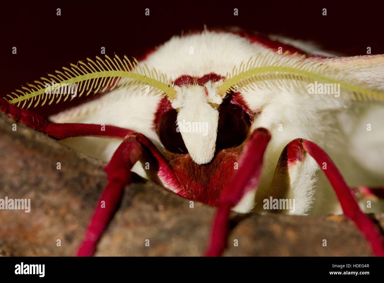 Indian moon hi-res stock photography and images - Alamy