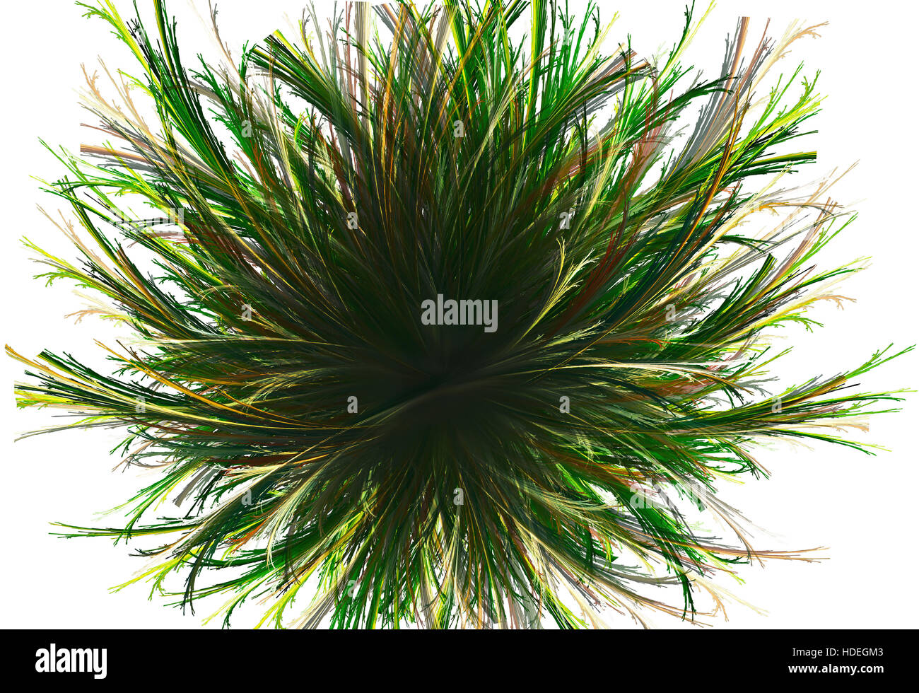 Flora graphics hi-res stock photography and images - Alamy