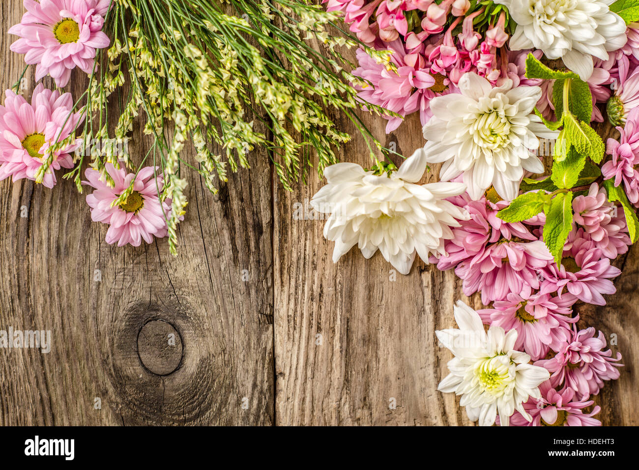 Top view flowers hi-res stock photography and images - Alamy