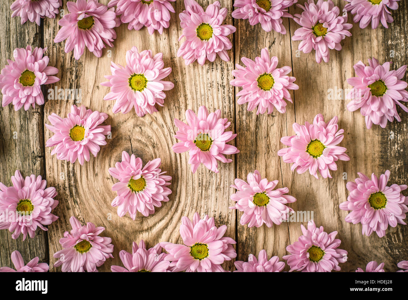 Pink flowers on the wooden table top view Stock Photo - Alamy