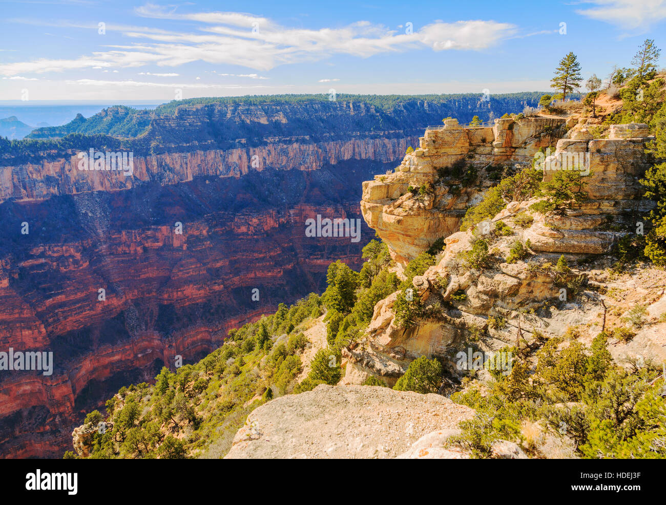 Awesome landscape of Grand Canyon from North Rim, Arizona, United ...