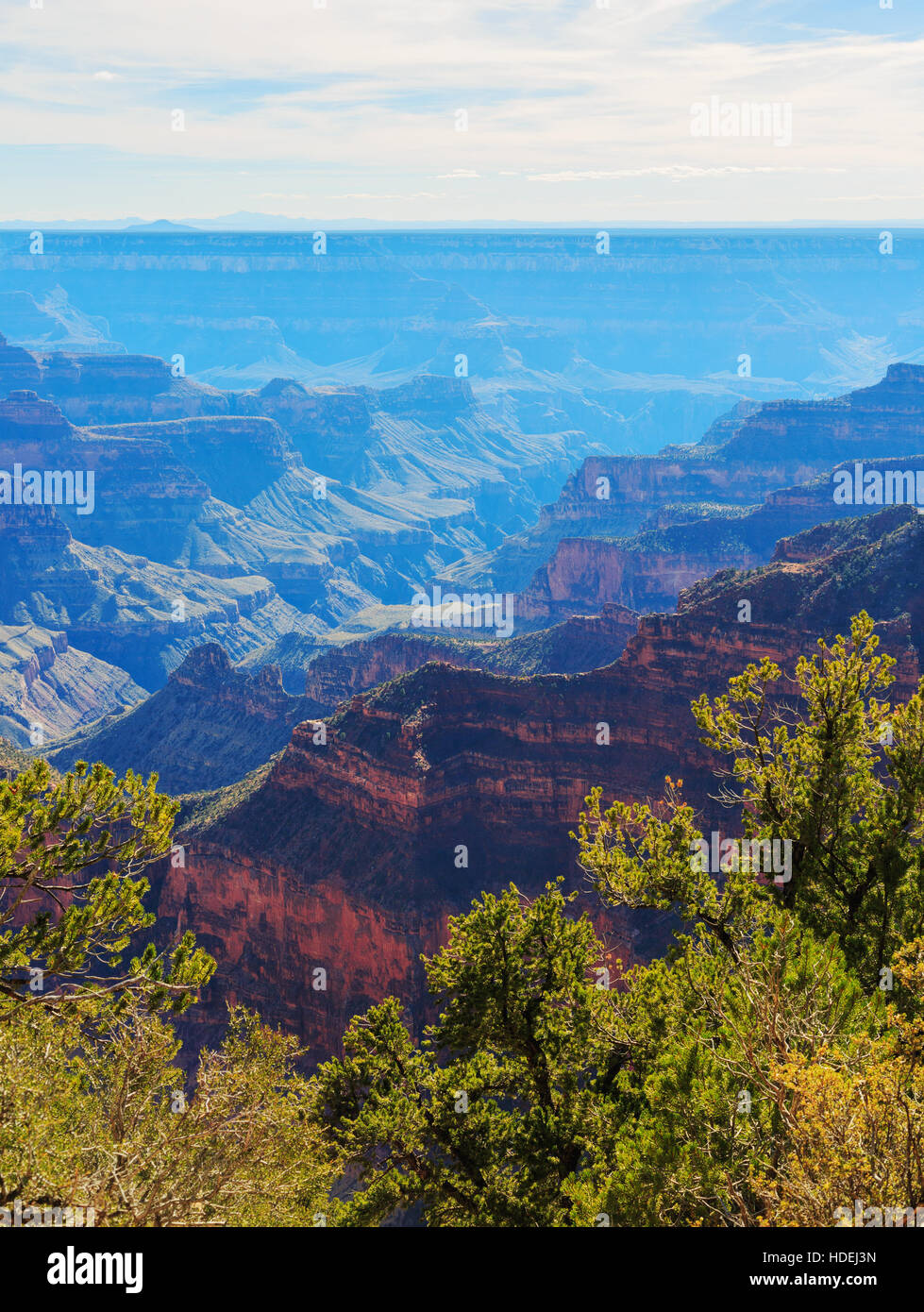 Incredible landscape of Grand Canyon from North Rim, Arizona, United ...
