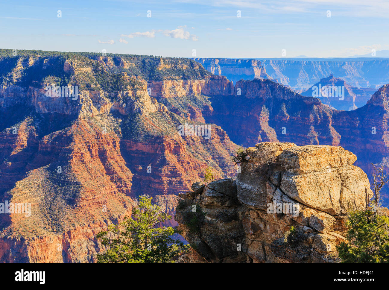 Beautiful view from North Rim of the Grand Canyon, Arizona, United ...