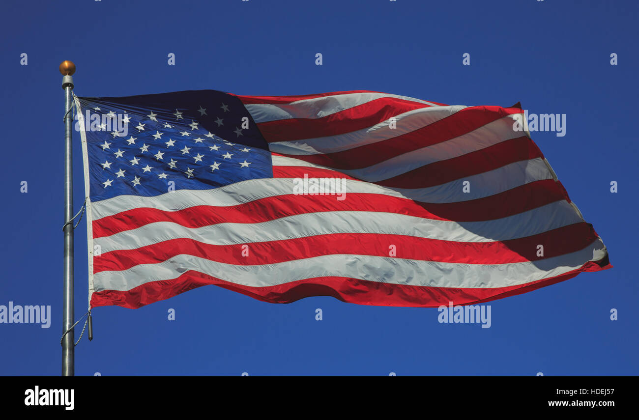 US flag flying in strong wind in a clear blue sky Stock Photo - Alamy