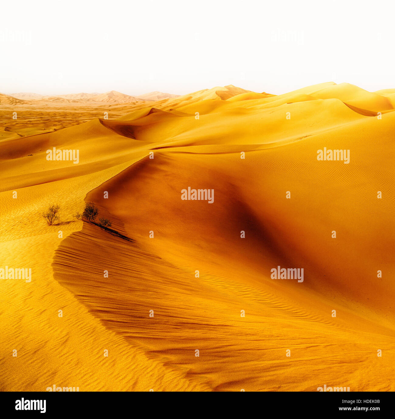 the empty quarter and outdoor sand dune in oman old desert rub al khali ...