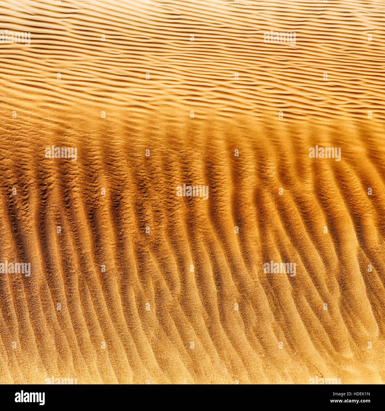 abstract texture line wave in oman the old desert and the empty quarter ...