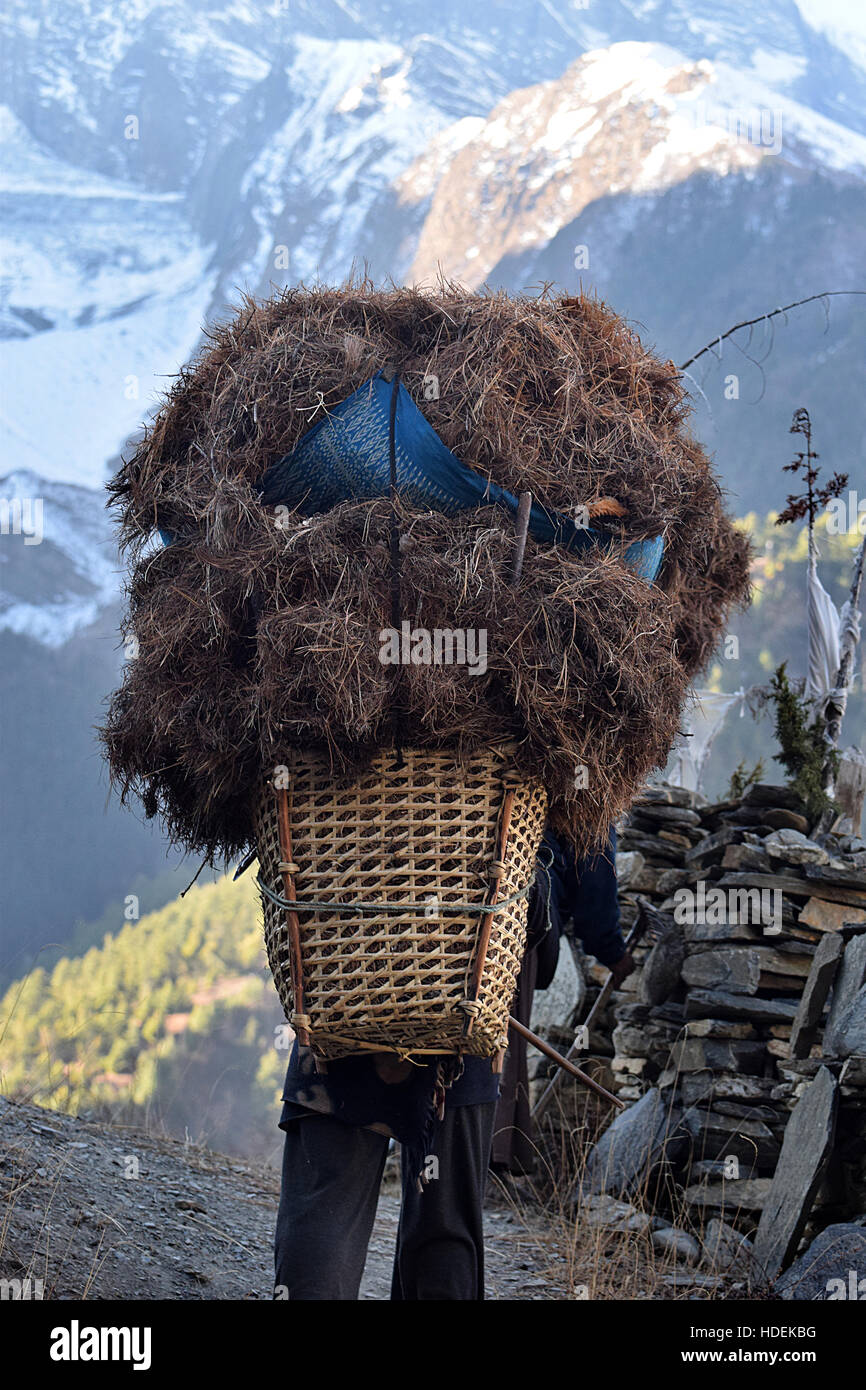 Nepal, Asia, Himalaya Stock Photo - Alamy