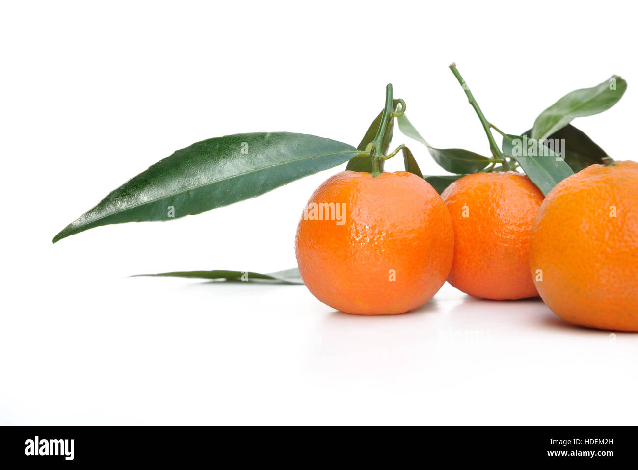tangerine with leaf isolated on white background Stock Photo - Alamy