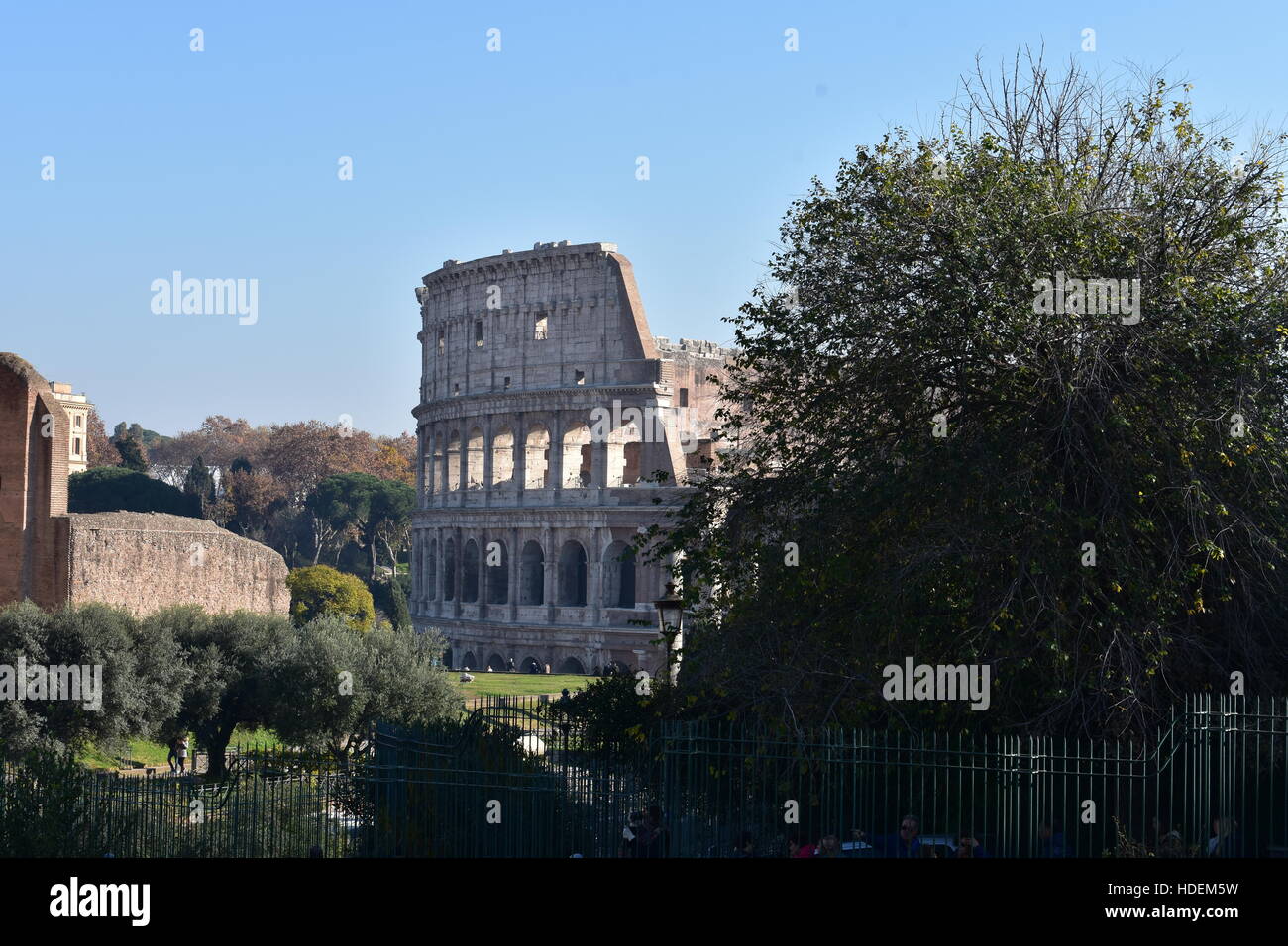 The colliseum in Rome Stock Photo - Alamy