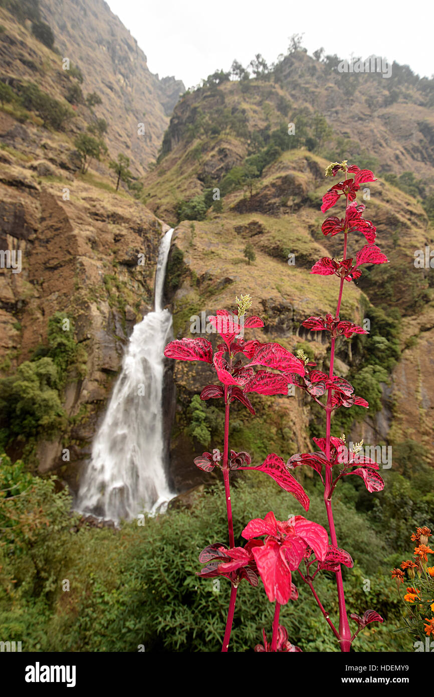 Nepal, Asia, Himalaya Stock Photo - Alamy